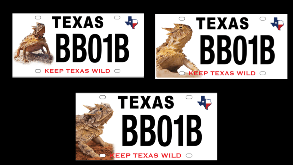 Conservation License Plate Program Updates Classic Plate to Celebrates ...